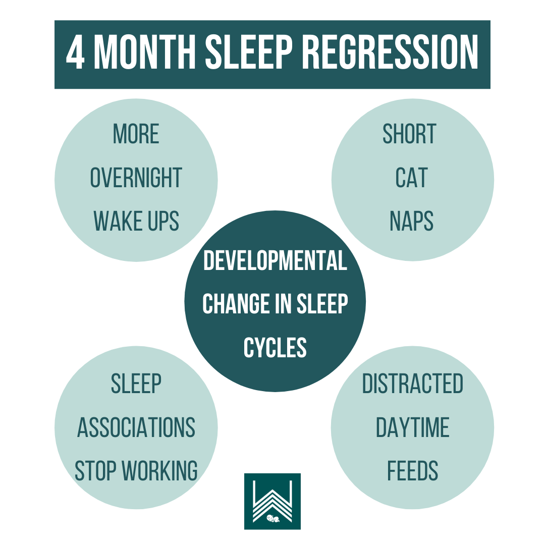 8 Month Sleep Regression 8 Month Sleep Regression